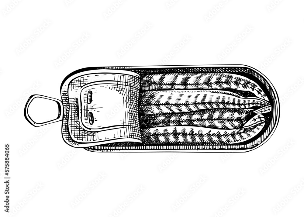 Hand drawn canned fish illustration. Anchovies vector drawing isolated ...