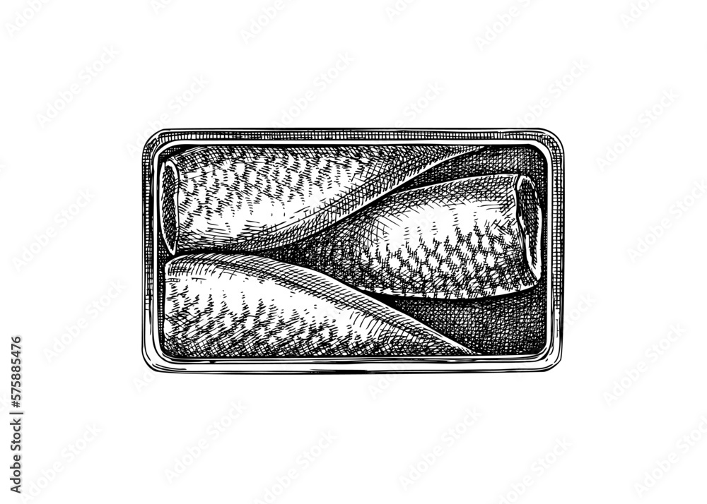 Hand drawn canned fish illustration. Herrings in olive oil vector ...