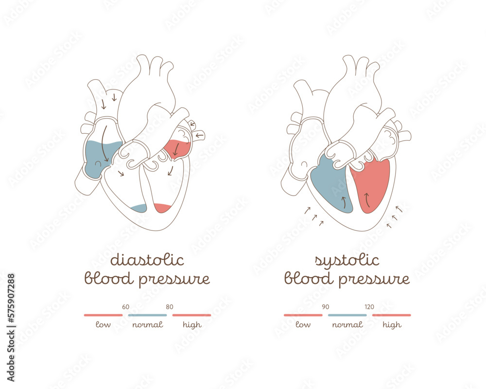 Blood pressure infographic. Vector flat modern illustration. Health ...