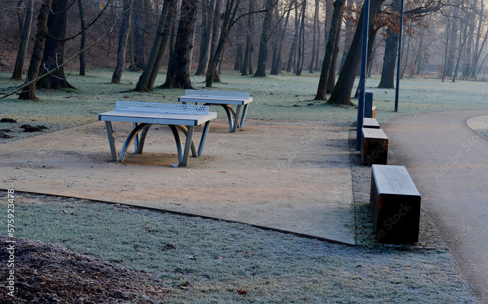 wooden oak prism bench in garden. for better drying of wood, grooves ...
