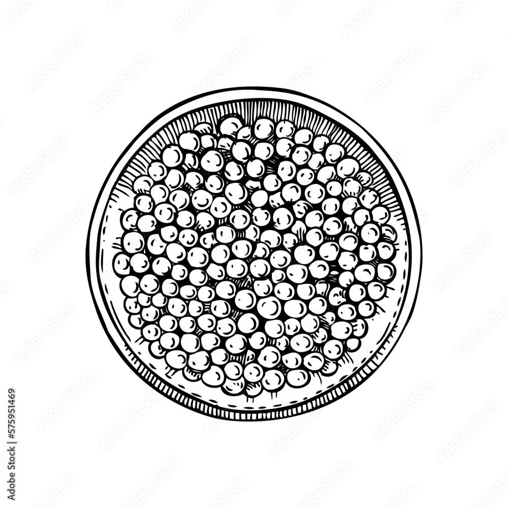 Hand-drawn sketch of canned caviar isolated on a white background. Red ...