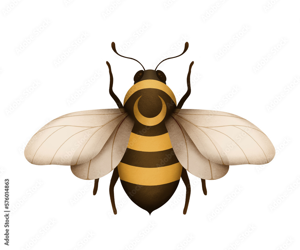 Magic bee with moon on transparent background, mystical night insect ...