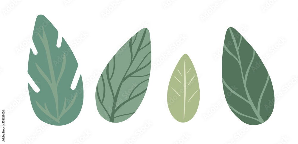 Vector leaf icons set. Garden plants with thin veins. Simple cartoon ...