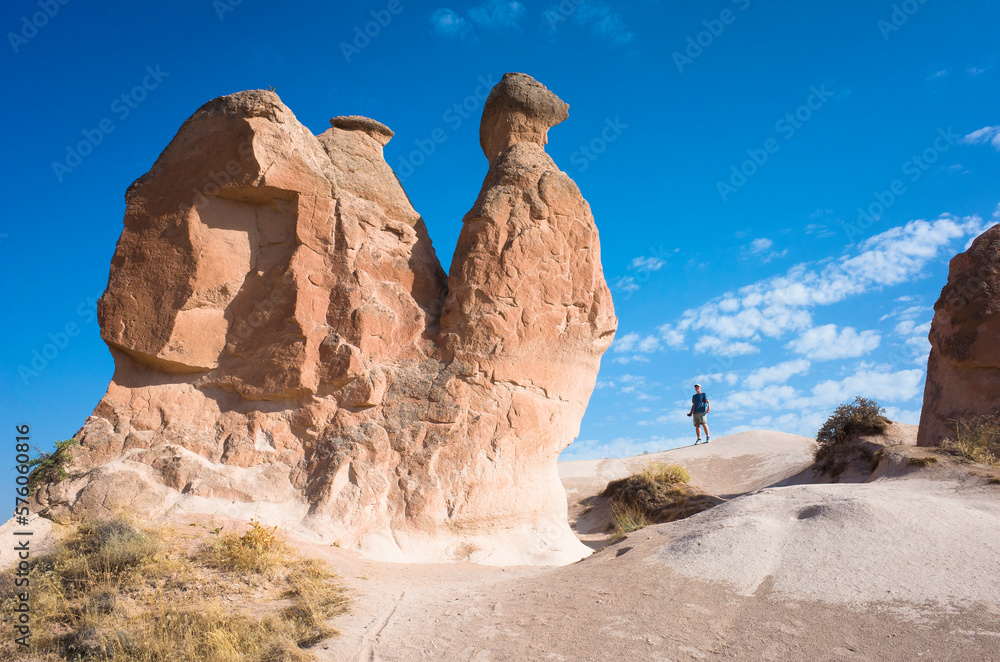 The Camel at the Devrent Valley or Imagination valley in Cappadocia ...