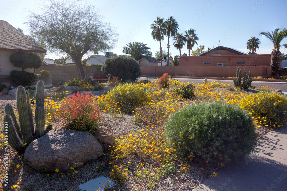 Arizona city landscape with waves of green, yellow and red colors ...