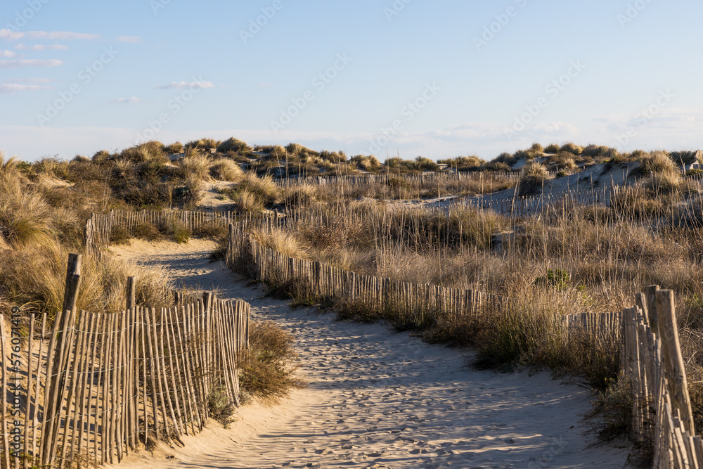 Cheminement à travers les dunes de sable vers la plage du Petit Travers ...