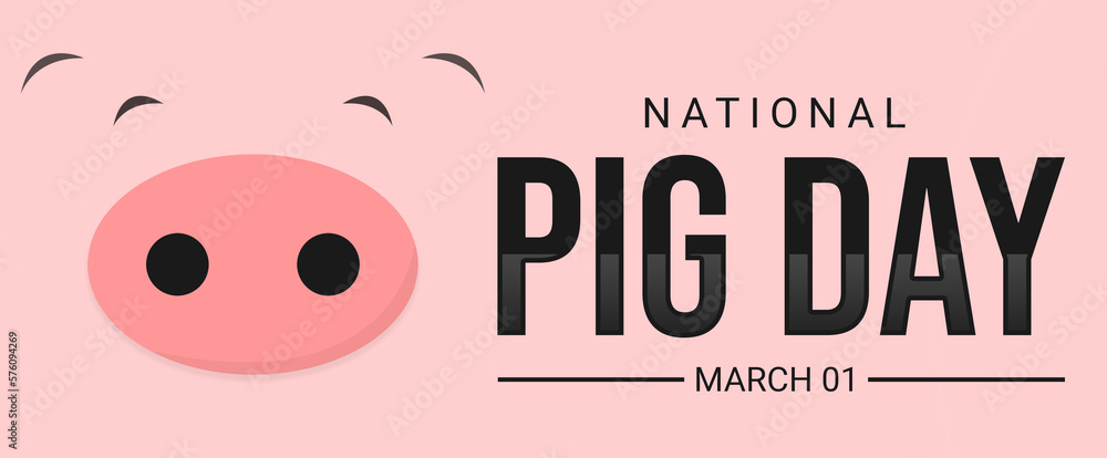 Pig national day banner design with nose and pink color background ...