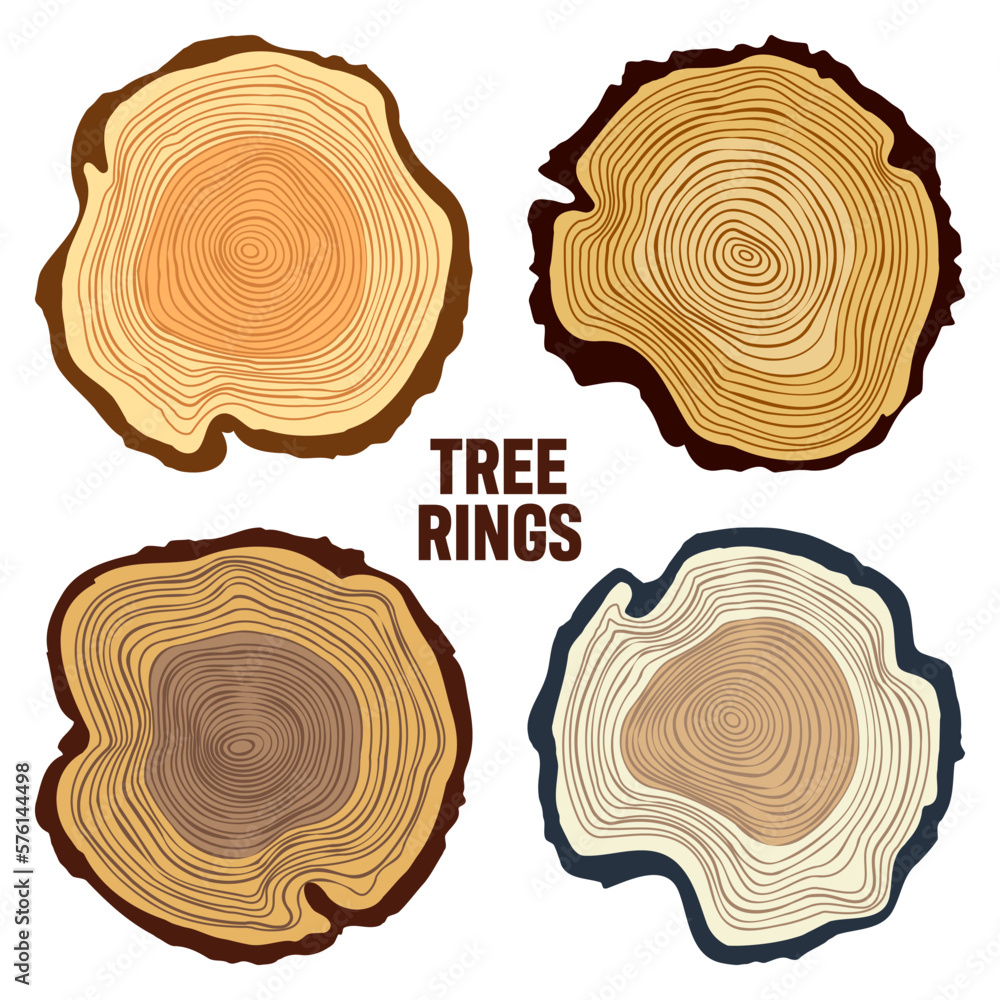 Round colorful tree trunk cuts, sawn pine or oak slices, lumber. Saw ...