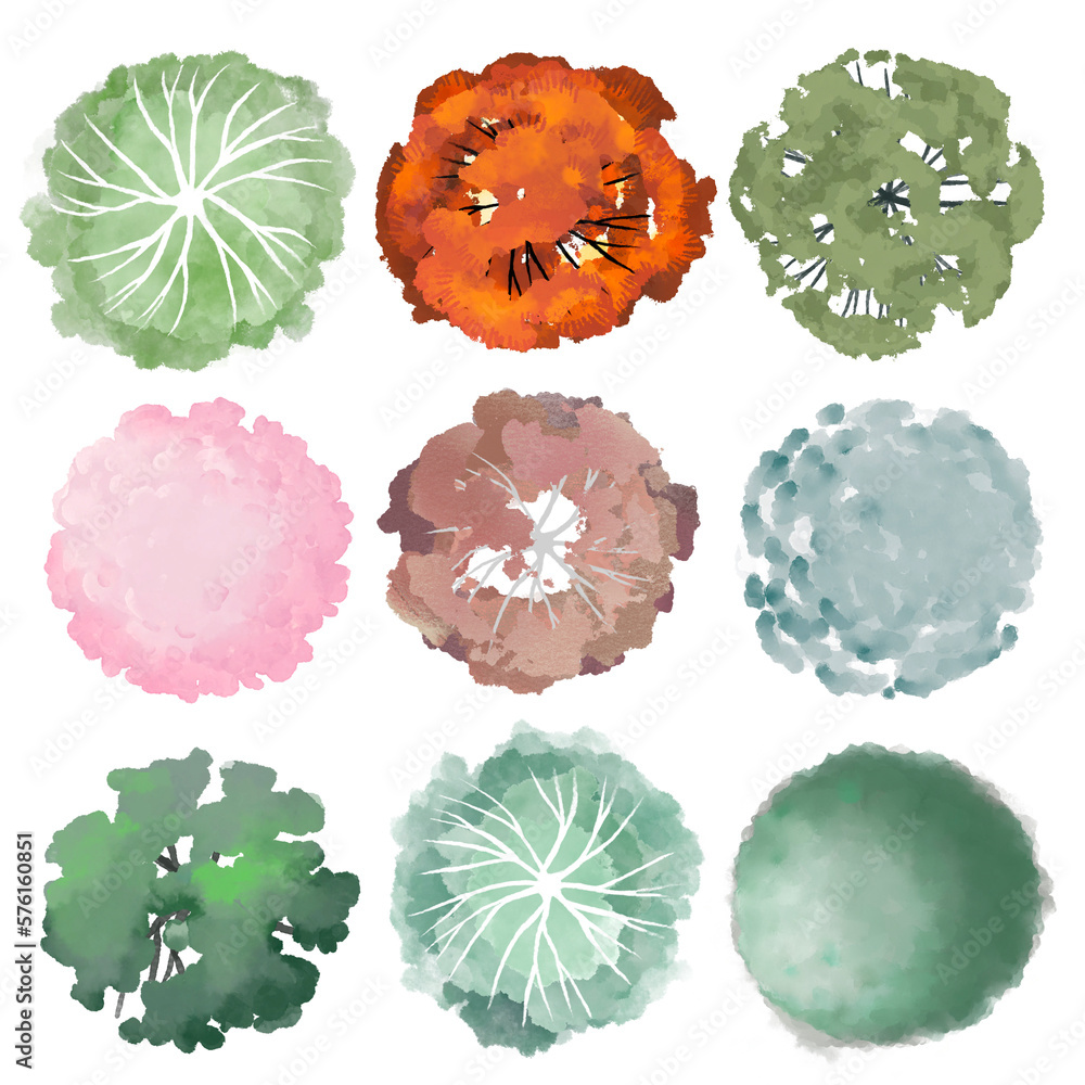 Architectural plans trees. Bushes and shrubs, top view for landscape ...