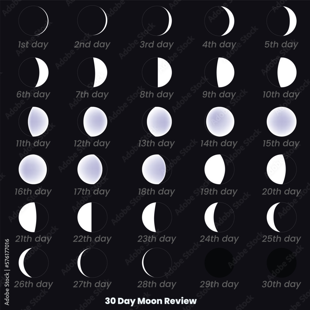 Moon phases. 30 Day Moon Review. Moon phases astronomy icon set, Vector ...