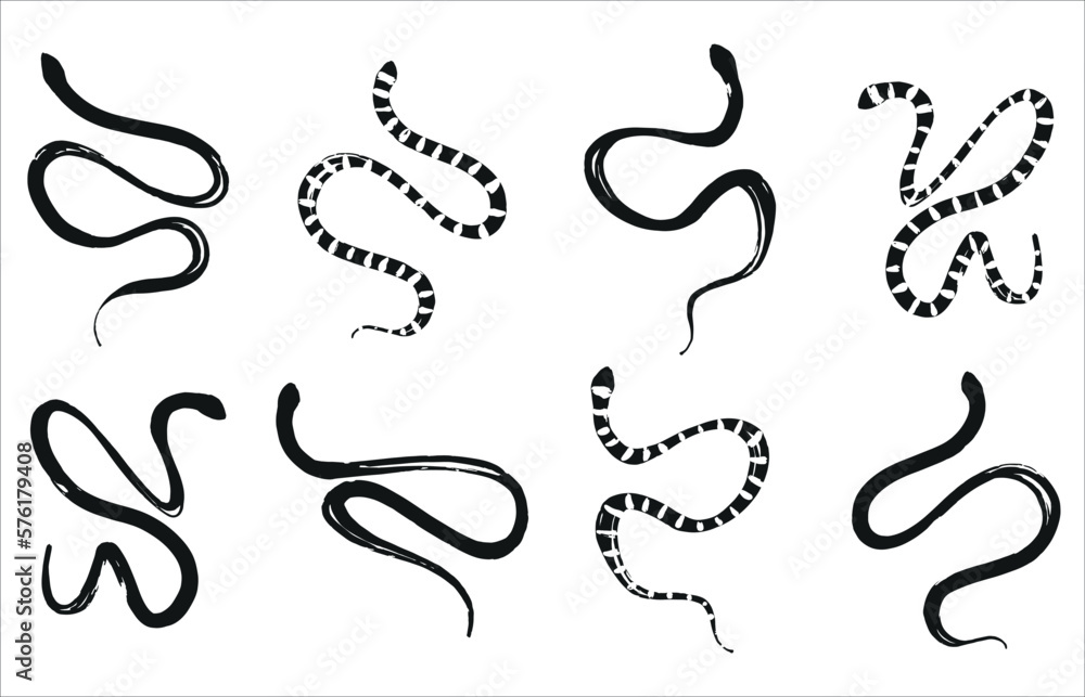 A set of hand-drawn snakes in black and white graphics. Reptiles for ...