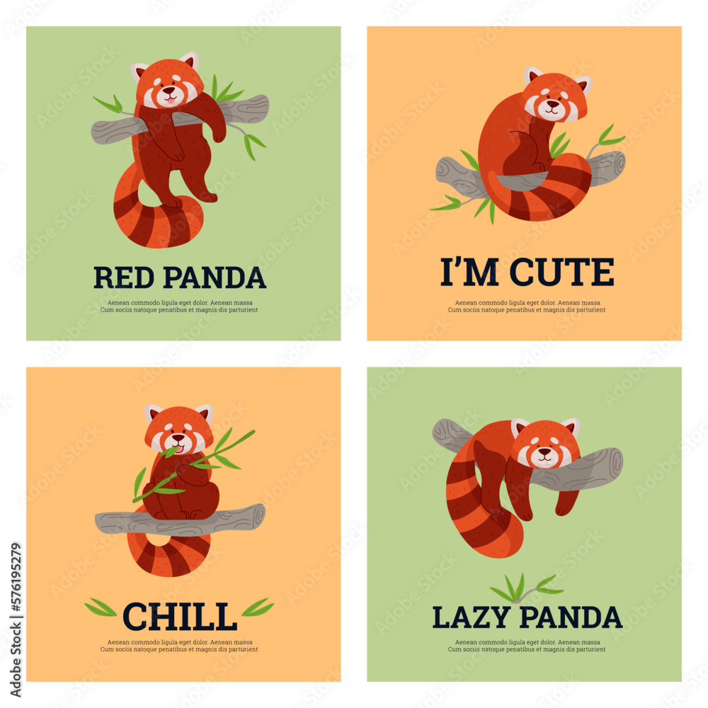 Cute red panda posters set, cartoon flat vector illustration. Stock ...