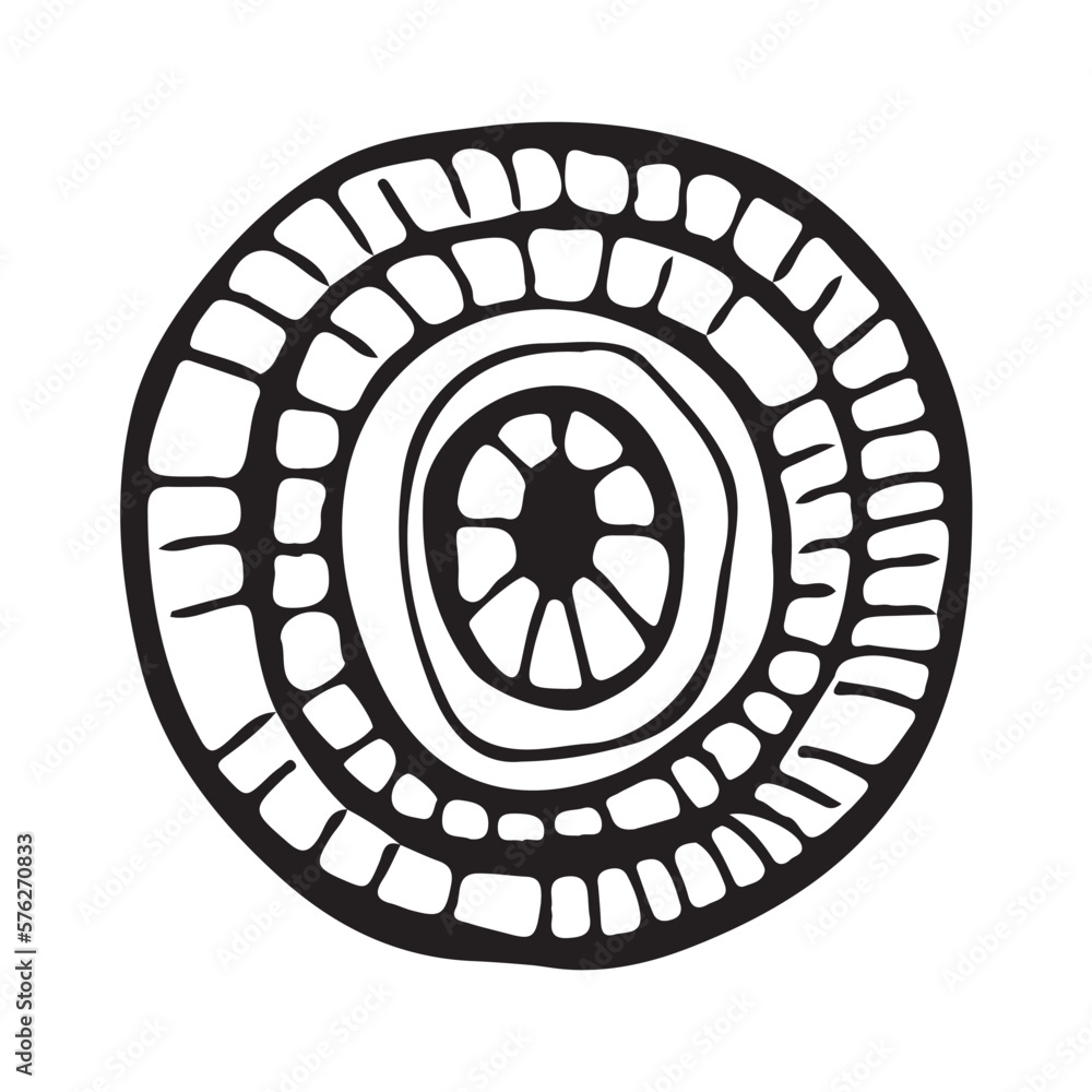 round abstract ornament frame. Round shape. Infographic element ...