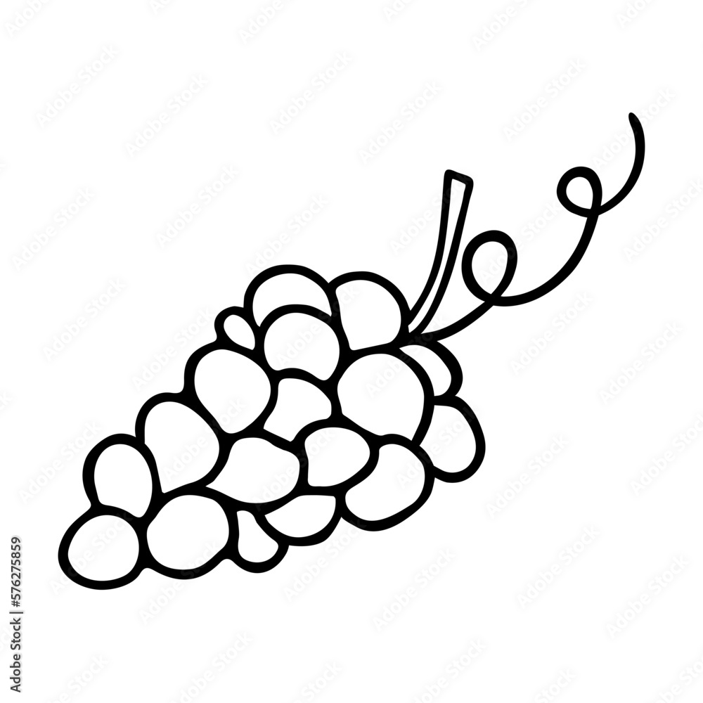 Grape doodle, cooking nutrient. Hand-drawn sweet fruit, proper eating ...