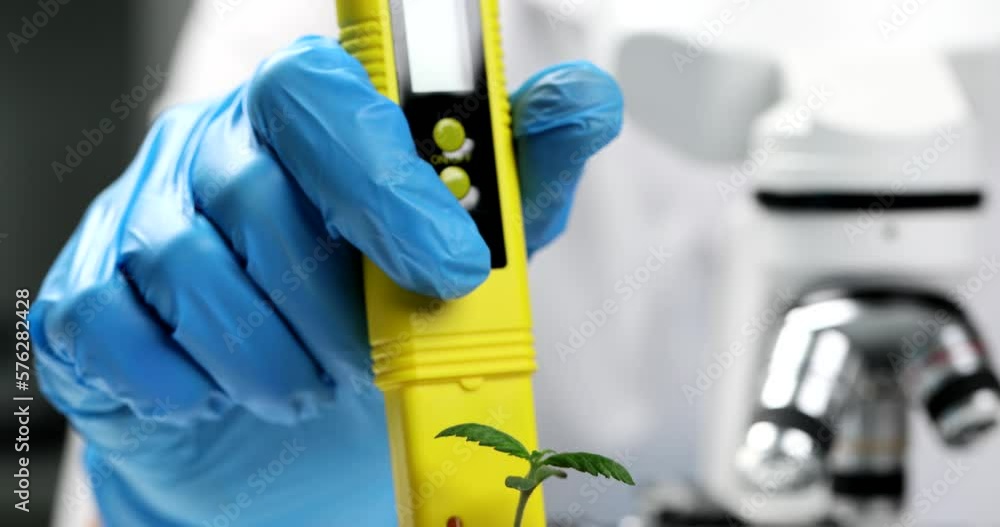 Scientist botanist checking soil acidity with plant sprout using ph ...