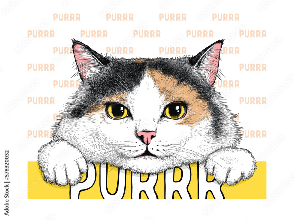 Beautiful calico cat. Realistic sketch. Purrr illustration. Stylish ...