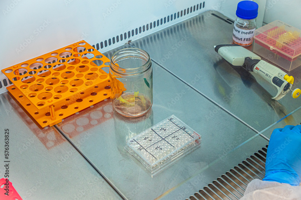 Inside a Laminar flow in laboratory Stock Photo | Adobe Stock