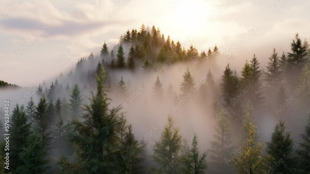 Fog rising rapidly over a coniferous forest, 3d render animation of a ...