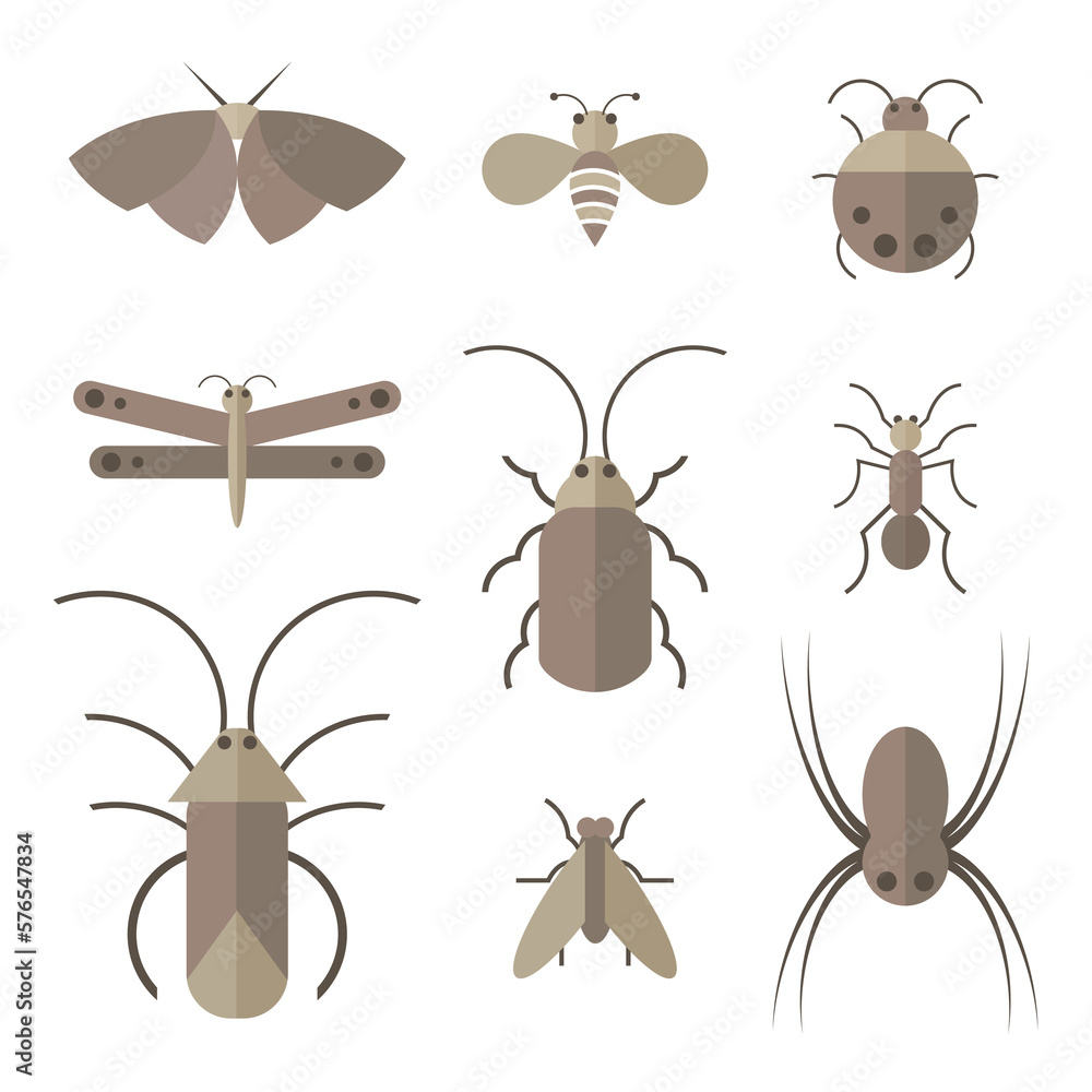 Insects group design isolated on transparent background. Animals ...