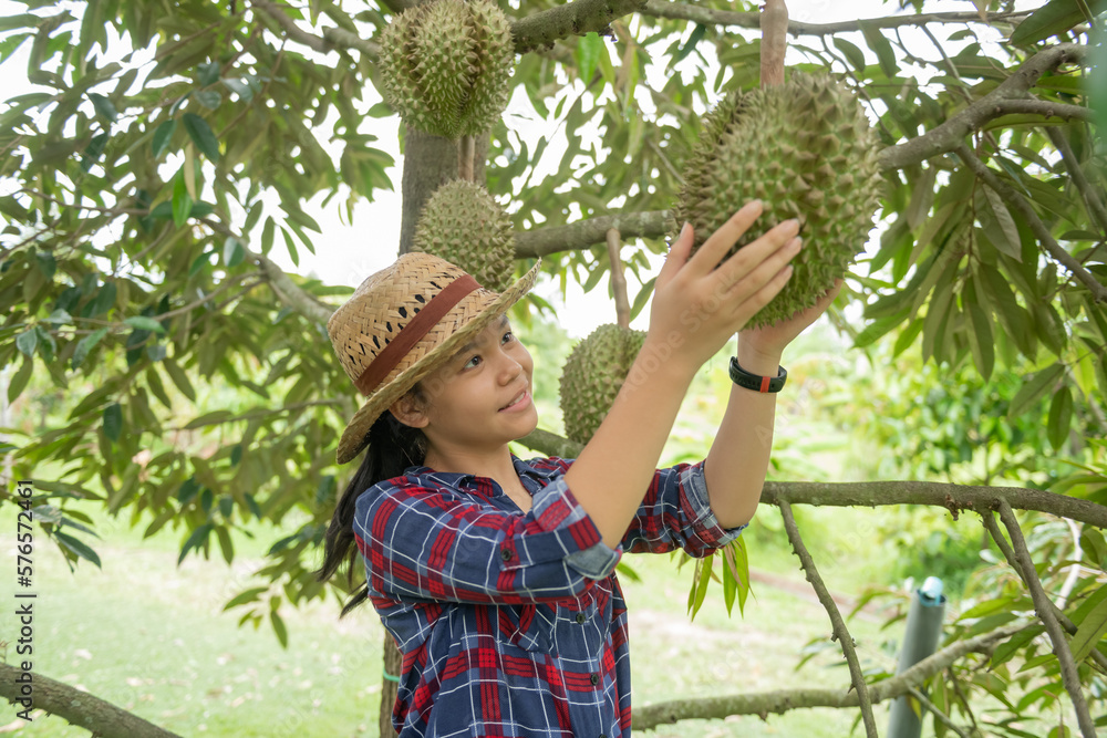 Happy teenager asian woman farmer holding durian in durian plantation ...