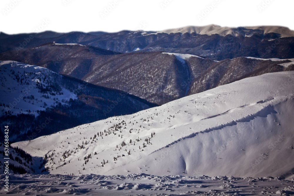 Snow capped mountain slopes covered with forests isolated PNG photo ...