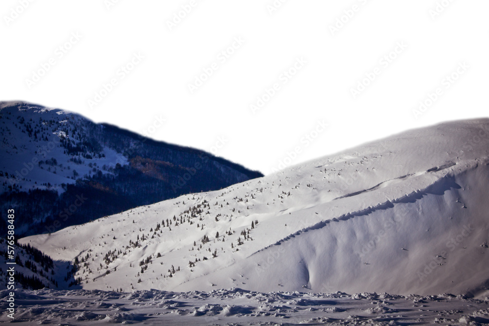 Snow-capped hillside with rare fir trees isolated PNG photo with ...