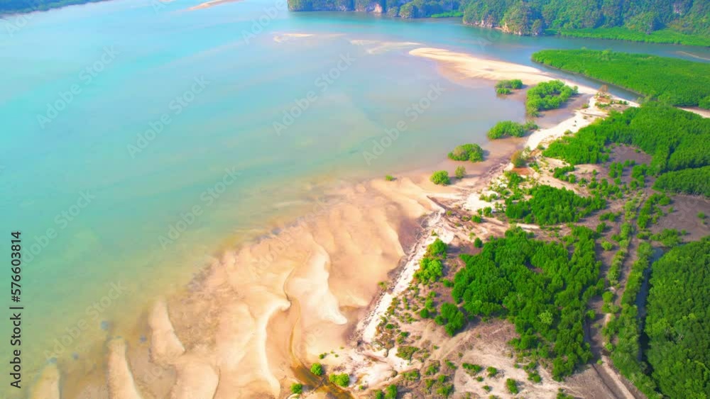 Showcases the stunning vistas of beach forests, and mangrove forests ...