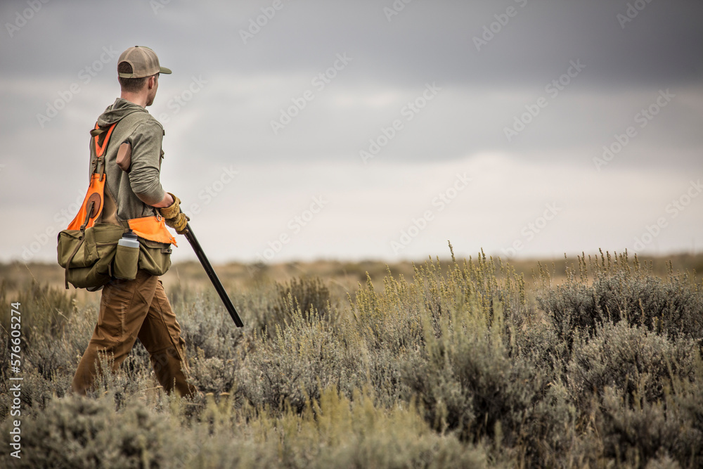 Man upland bird hunting with his dogs in the plains of northeastern ...