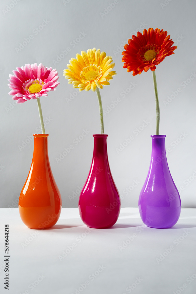 Vasen mit bunten blumen auf weissem Fond Stock Photo | Adobe Stock