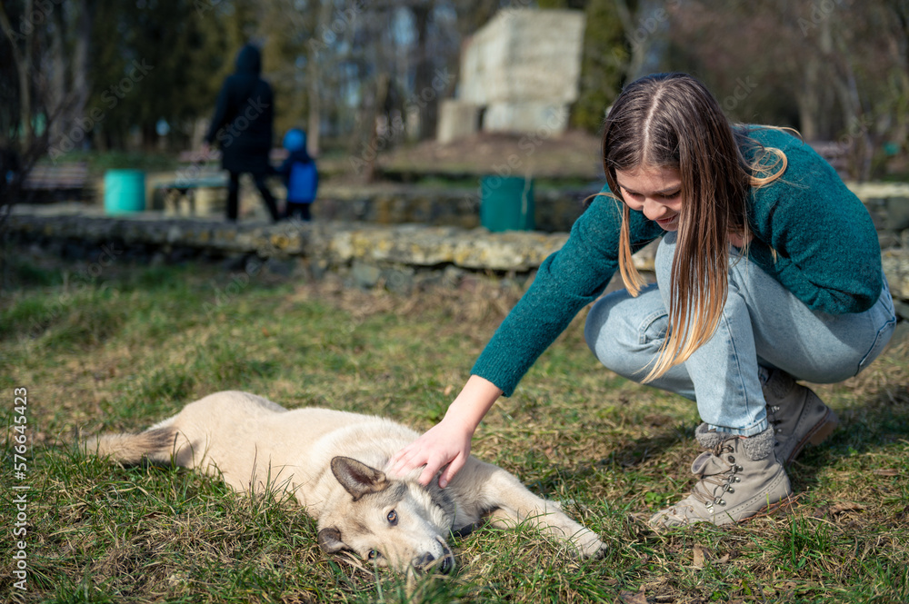 Beautiful teen girl with dog. Teenage girl playing with a dog in the ...