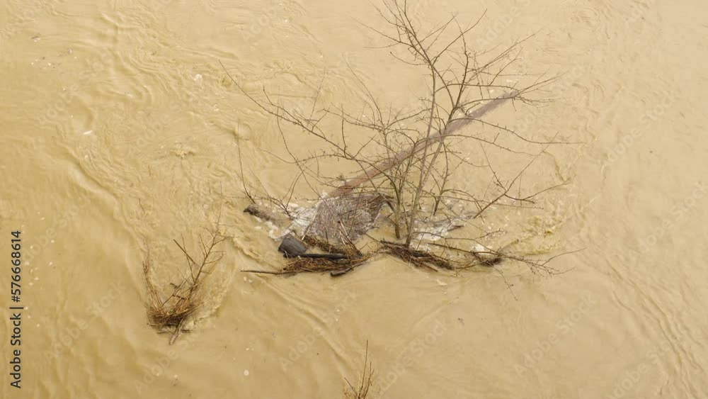 Flooding on rivers. a river bursting its banks. Top view of tree tops ...