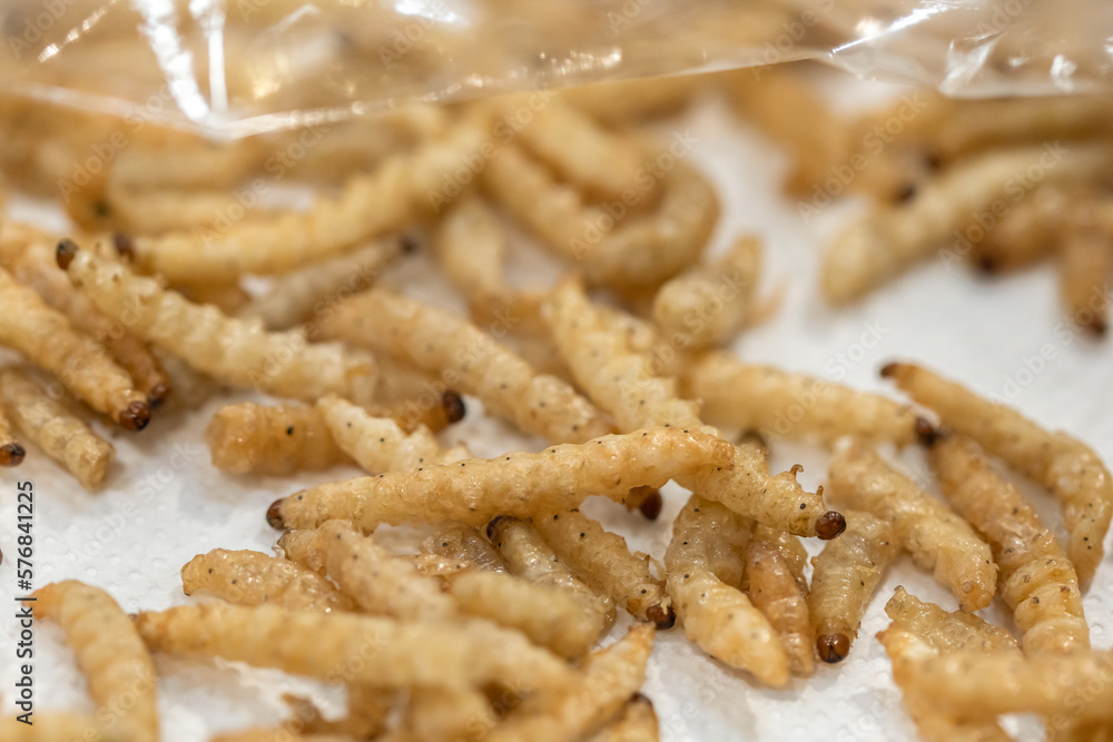 Fried worm bamboo edible, Bamboo Caterpillar, Thai street food. Source ...