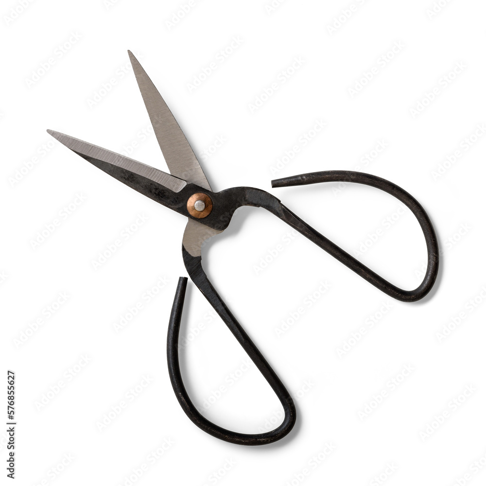 Traditional style black steel bonsai garden shears scissors isolated on ...