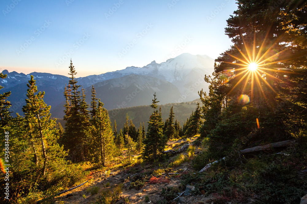 Beautiful evening sunburst through evergreen trees on Pacific Crest ...