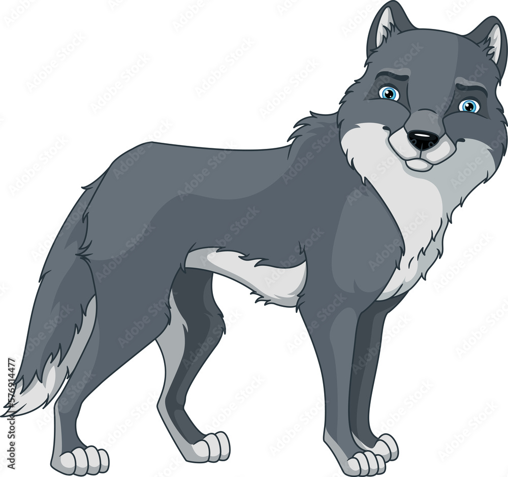 Gray wolf isolated on white background cartoon illustration Stock ...