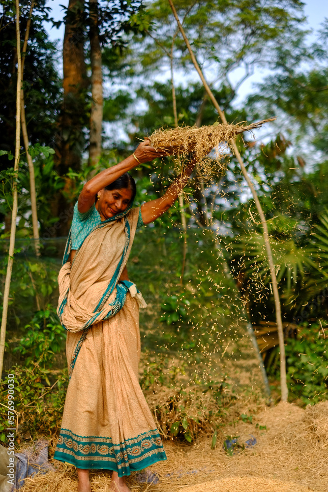 Village woman separating chaff from grain by winnowing process. South ...
