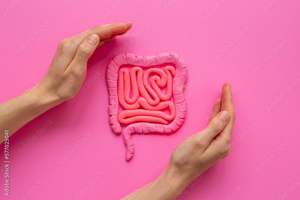 Human intestines colon organ shape with hands. Digestive tract problems ...