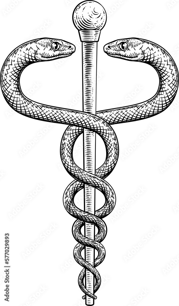 Caduceus Vintage Doctor Medical Snakes Symbol Stock Illustration ...