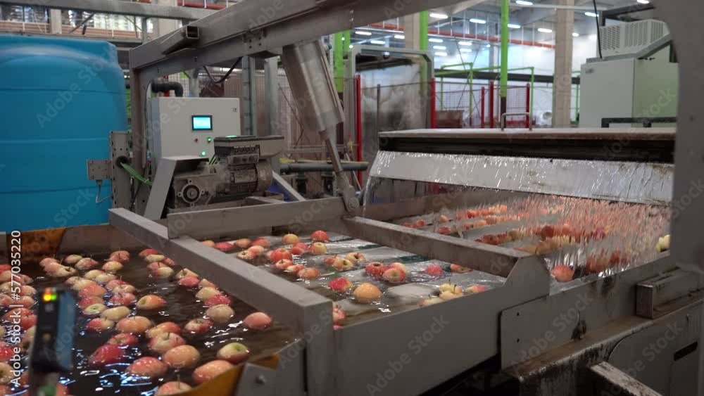 Fresh Apples Washing, Grading and Sorting in Apple Processing Plant. Food Processing Machinery ...