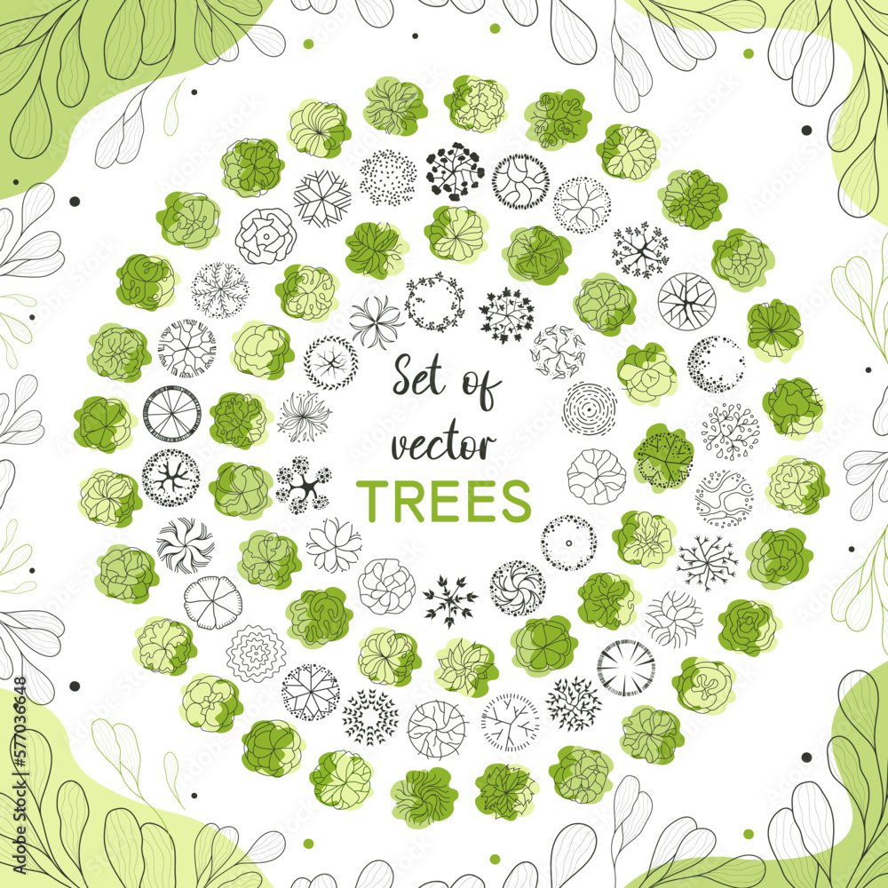 Tree for architectural floor plans. Entourage design. Various trees ...