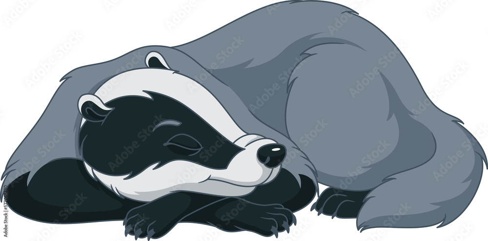 Poster Sleeping badger isolated on white background Cartoon ...