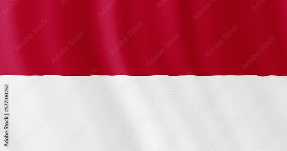 Monaco's flag seamless loop animation. 4k animation background with the ...