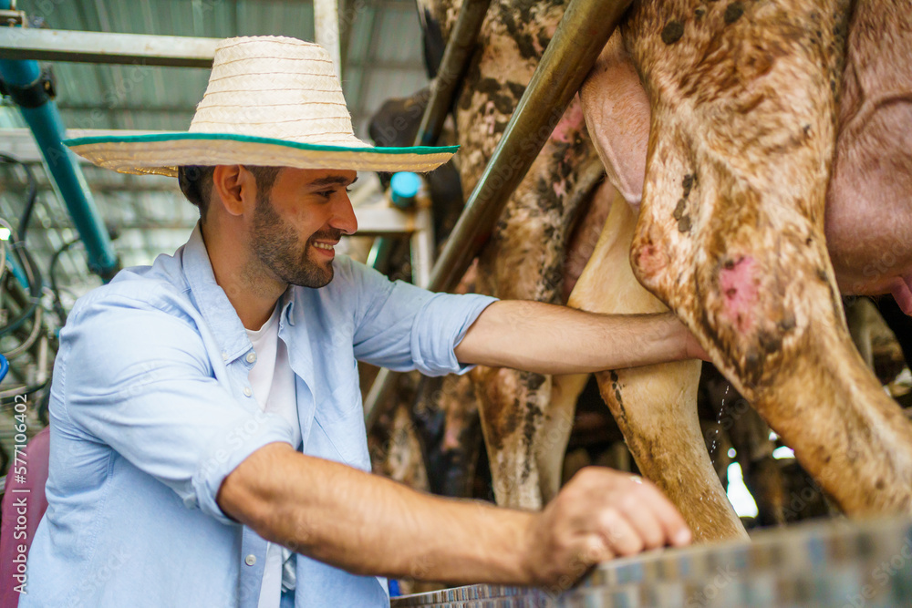 Foto de Farmer using an automatic milking machine collect a fresh milk ...