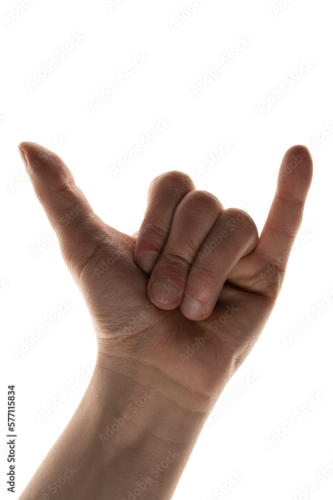 hand gesture. The language of the deaf. Talk with gestures Stock Photo ...