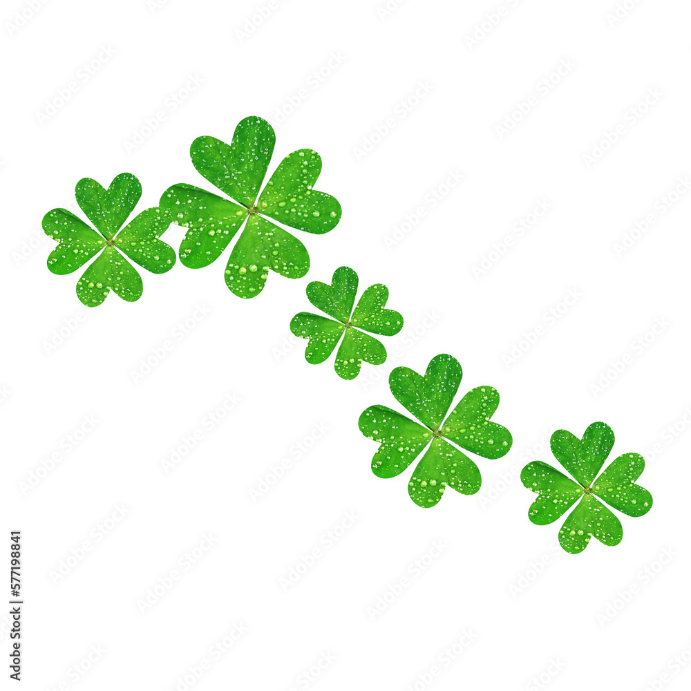 Clover Leaf String Stock Photo | Adobe Stock
