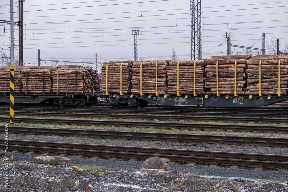 Freight train loaded with pine wood log trunks. Timber trading. Freight ...