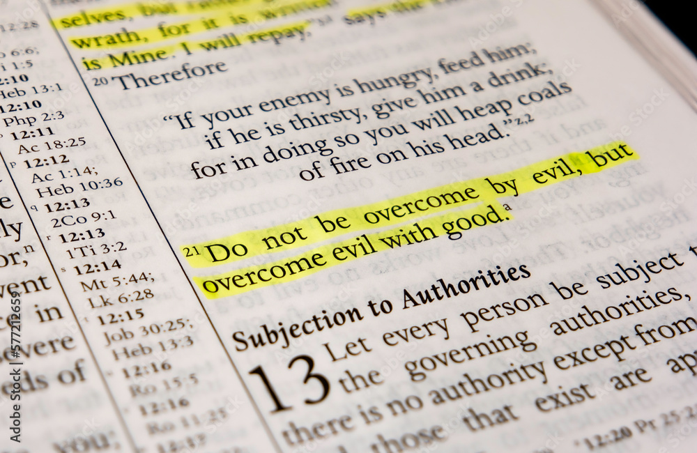 Romans Chapter 12 Verse 21