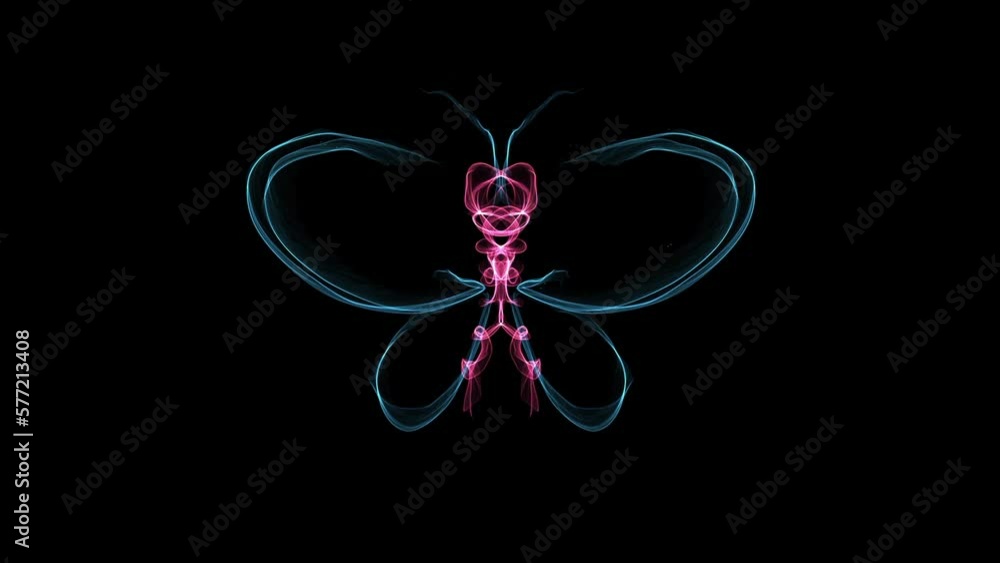 Appearance animation. Butterfly symbol with blue and pink wings. Neon ...