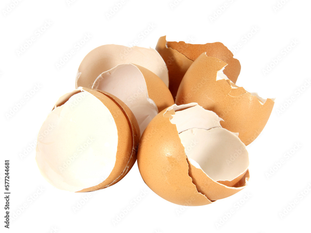 Egg Shells Clipart