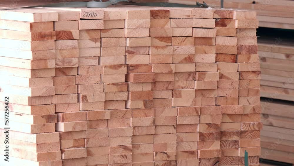 Fresh cut pine logs at a sawmill close-up. Timber processing at the ...